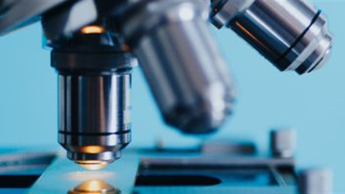 Microbiology Lab: researching ingredients and micro-organisms - TNO ...